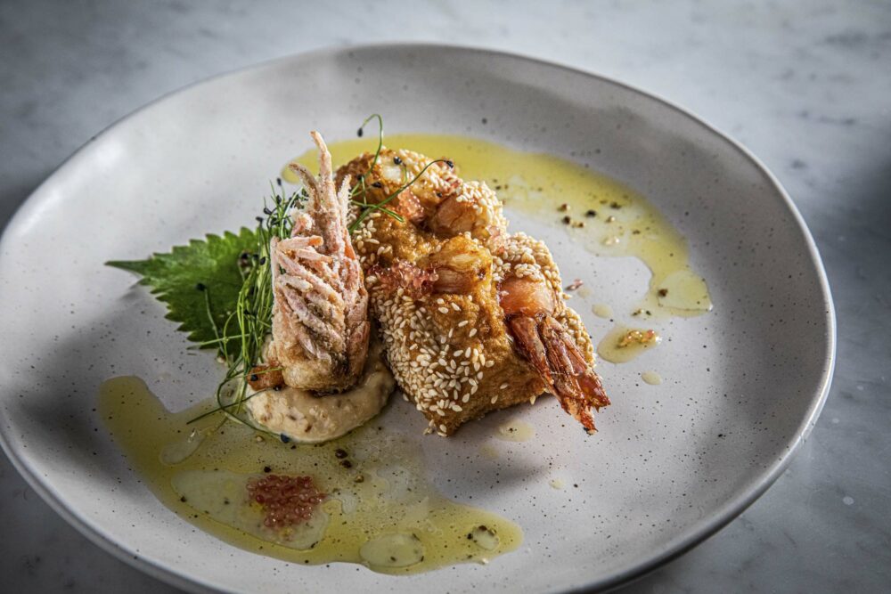 Media - Alba Thermal Springs & Spa